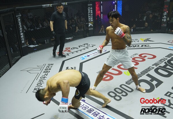 박시원, 하야시 요타 1라운드 KO로 꺾고 완벽한 복귀전